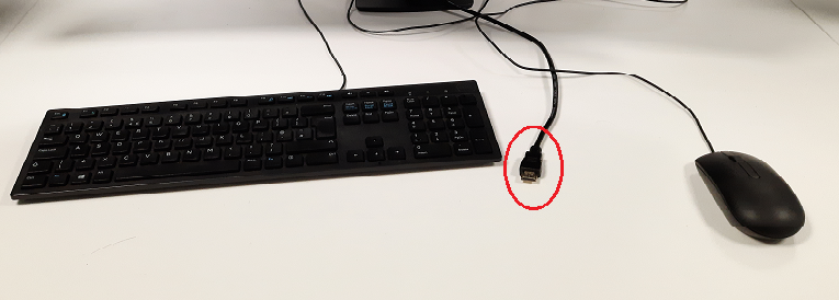 Labs – UCL Computer Science TSG